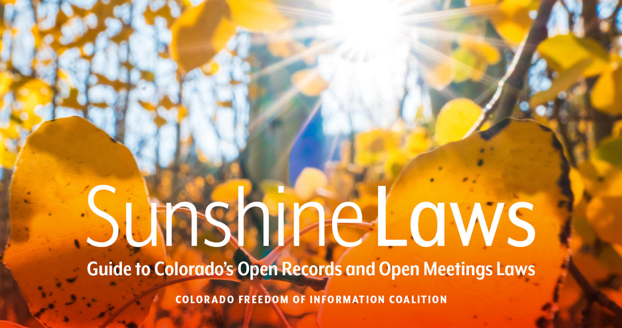 Guide to Colorado’s Open Records and Open Meetings Laws - Colorado ...